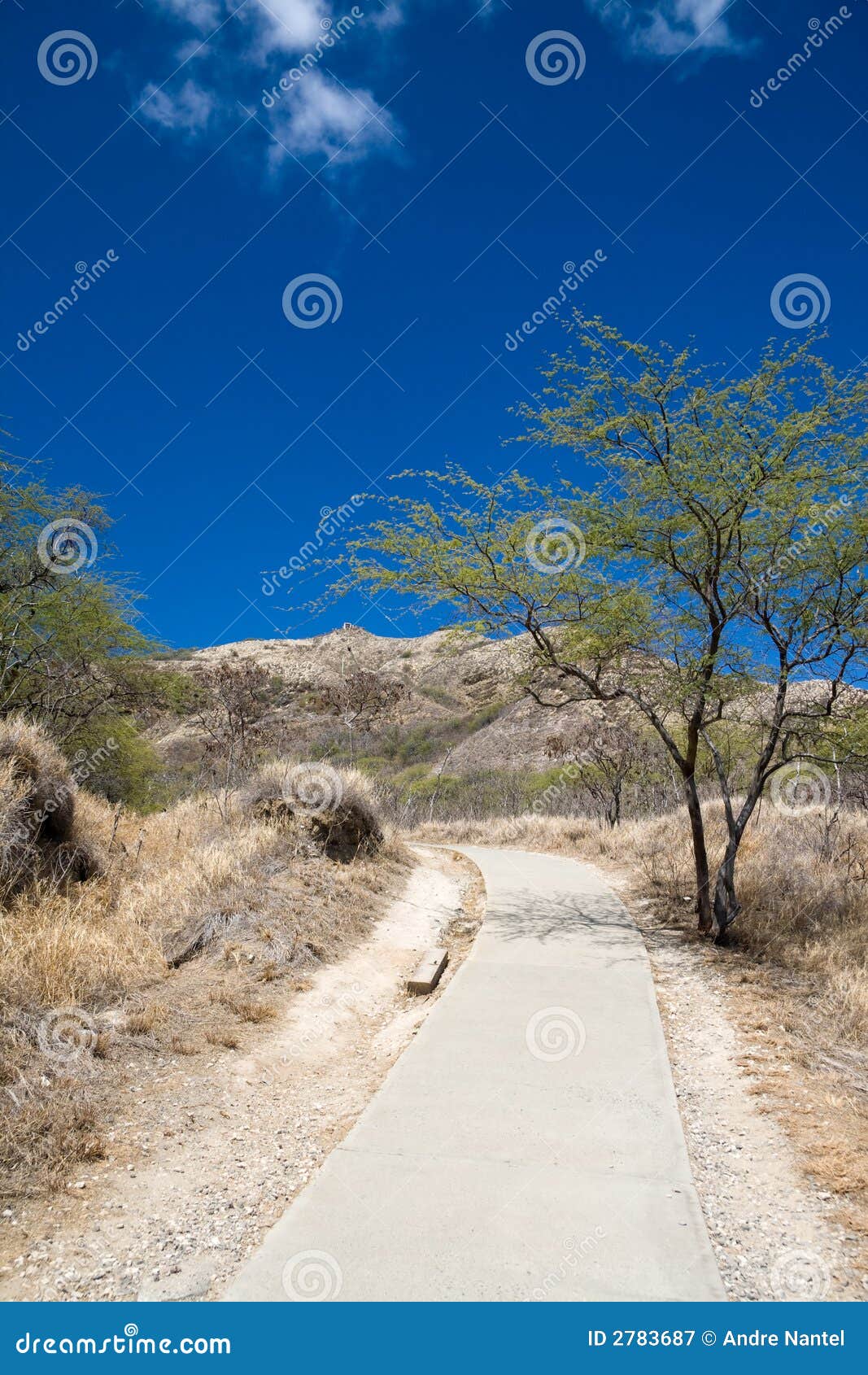Dry path stock image. Image of oahu, hawaii, honolulu - 2783687