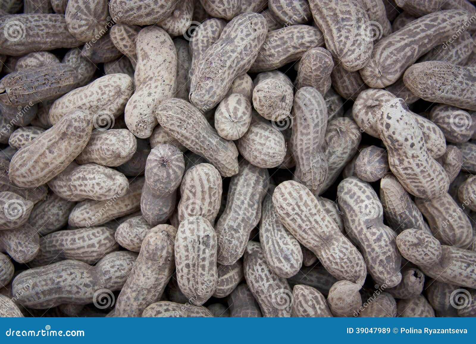 Dry peanuts stock image. Image of delicious, natural - 39047989