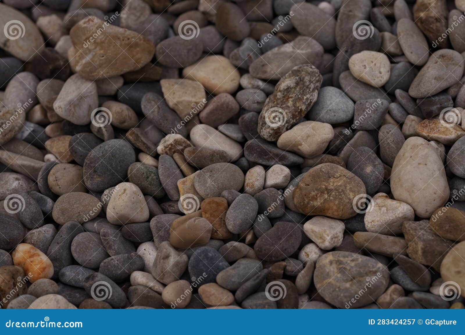 Dry Pebbles Beach Closeup Photo Stock Image - Image of background ...