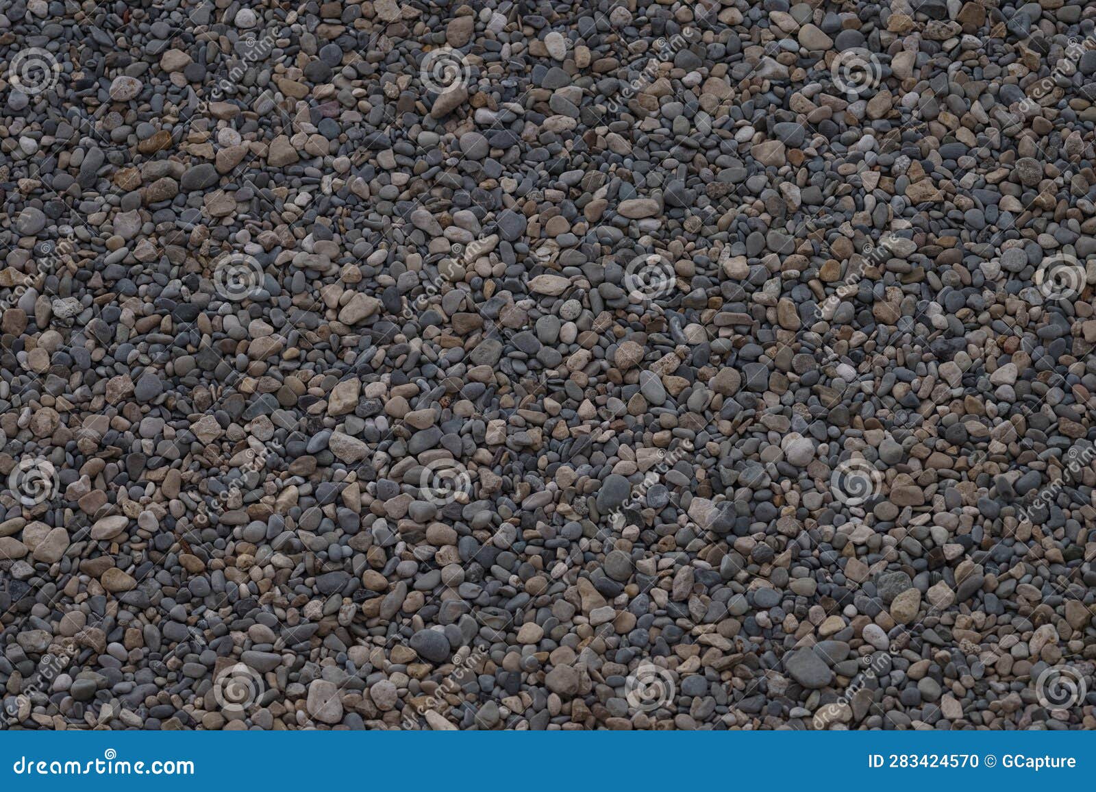 Dry Pebbles Beach Closeup Photo Stock Photo - Image of closeup, pattern ...