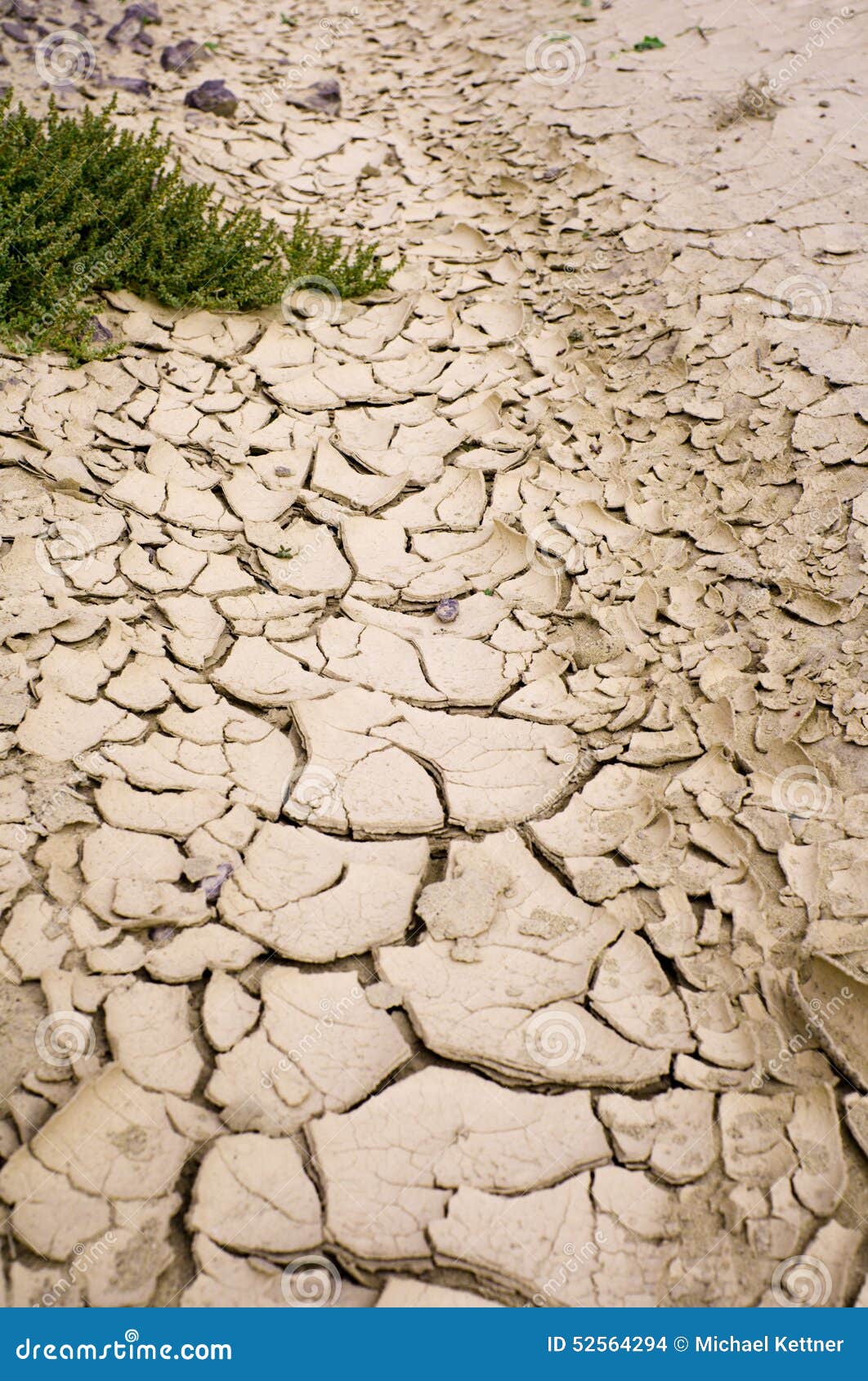 Dry period stock photo. Image of crack, cultivated, coloured - 52564294