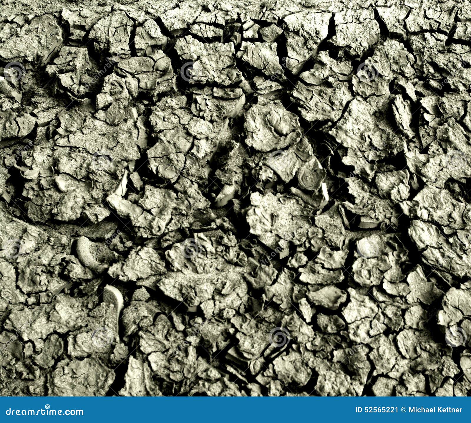 Dry period stock image. Image of edemic, dried, drought - 52565221
