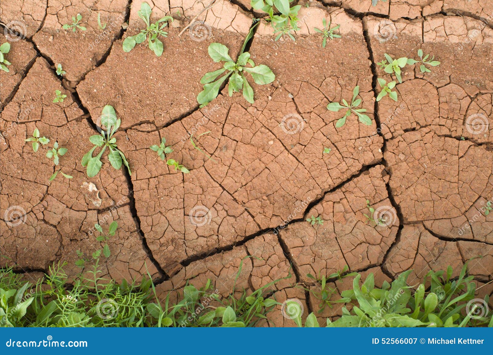 Dry period stock image. Image of dirt, hard, droughty - 52566007