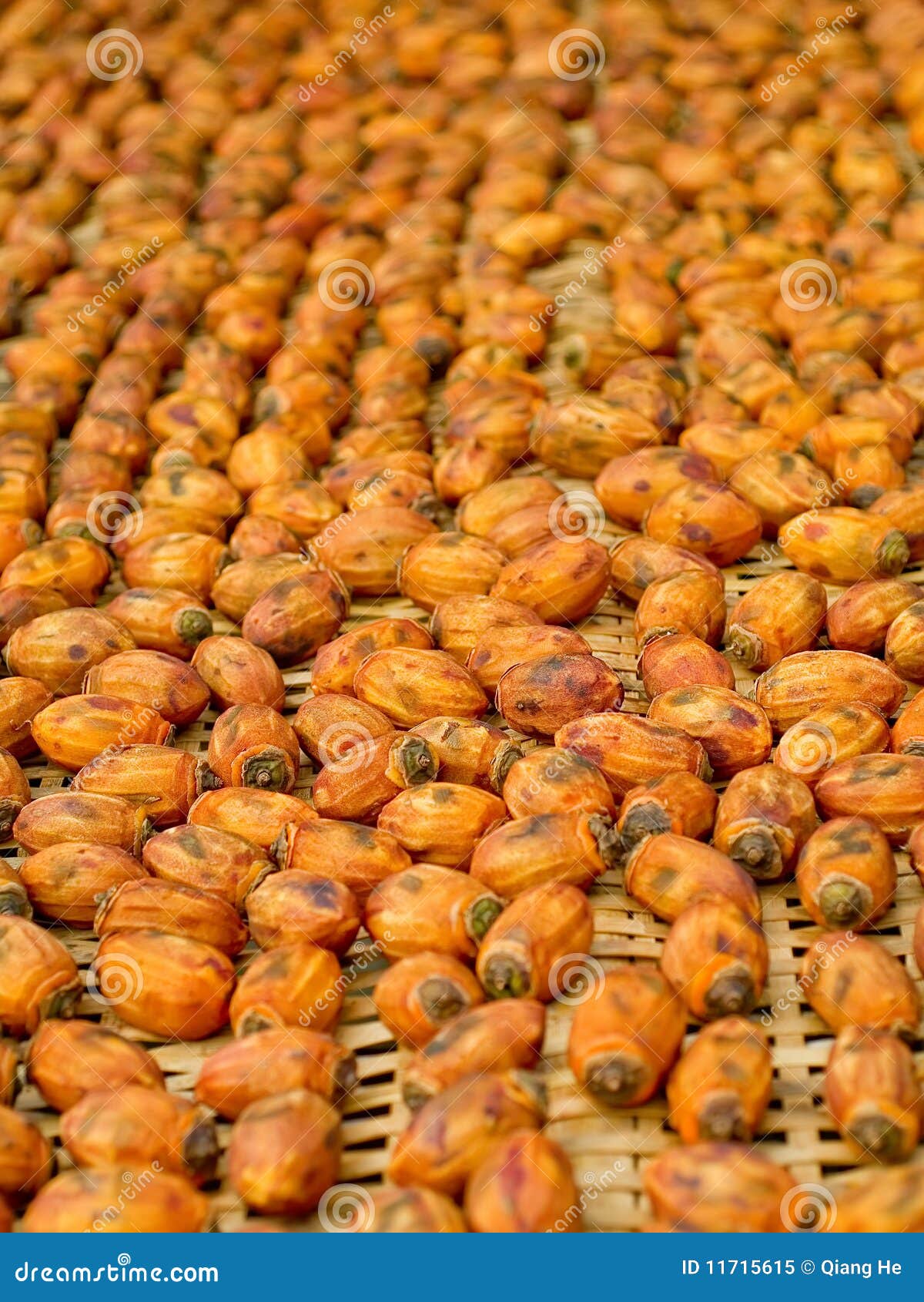 Dry Persimmon stock image. Image of persimmon, oval, autumn - 11715615