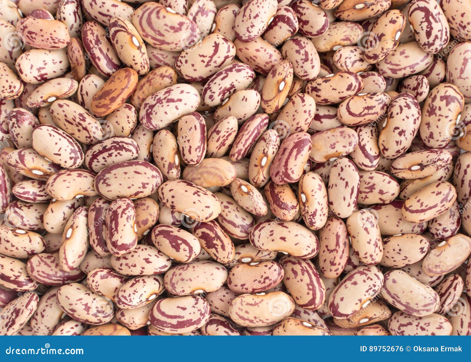 Dry Pinto Beans Backgrpund stock photo. Image of dried - 89752676