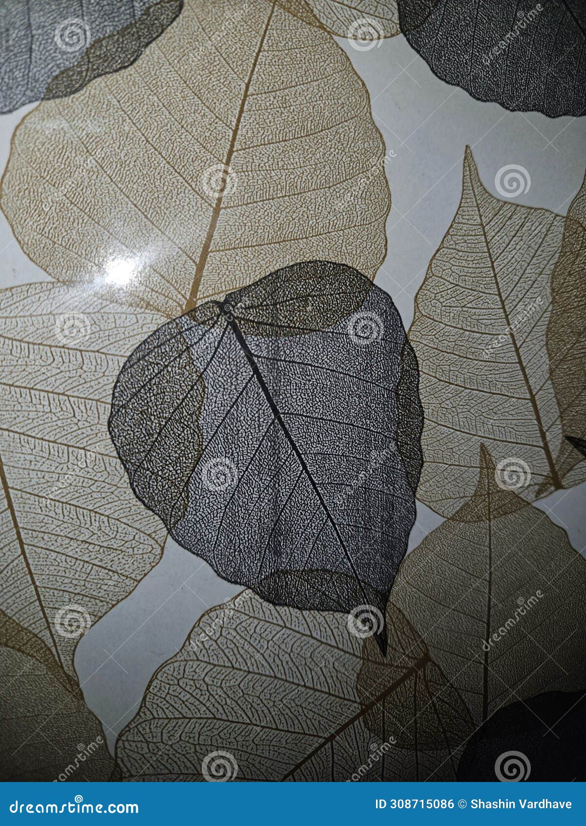 Dry Pipal Leaves Spread All Over Stock Photo - Image of pipal, leaves ...