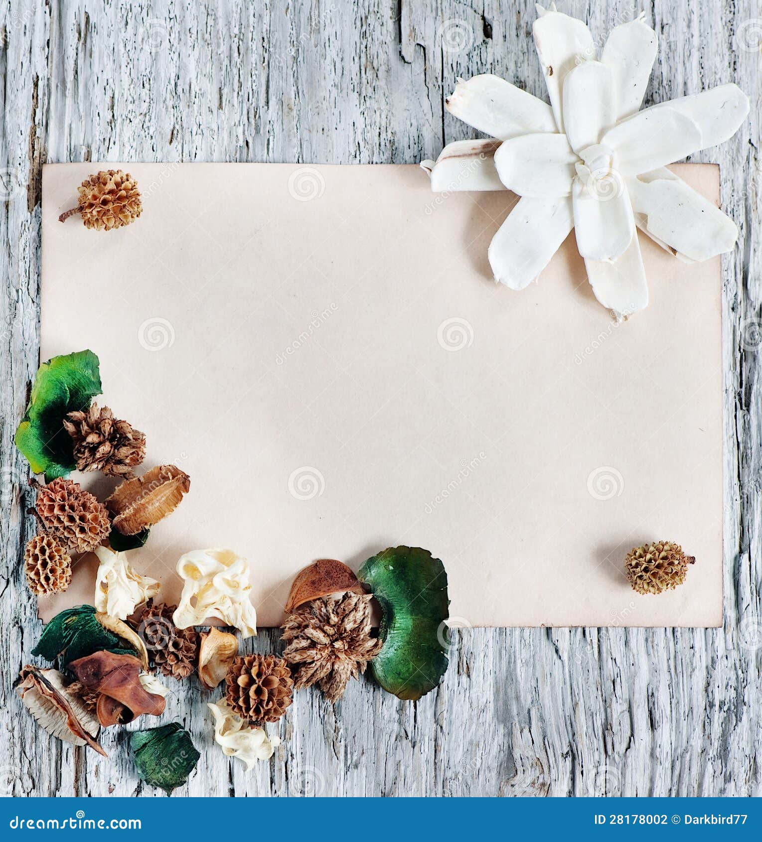 Dry Plants Background with Paper Stock Photo - Image of design, frame ...