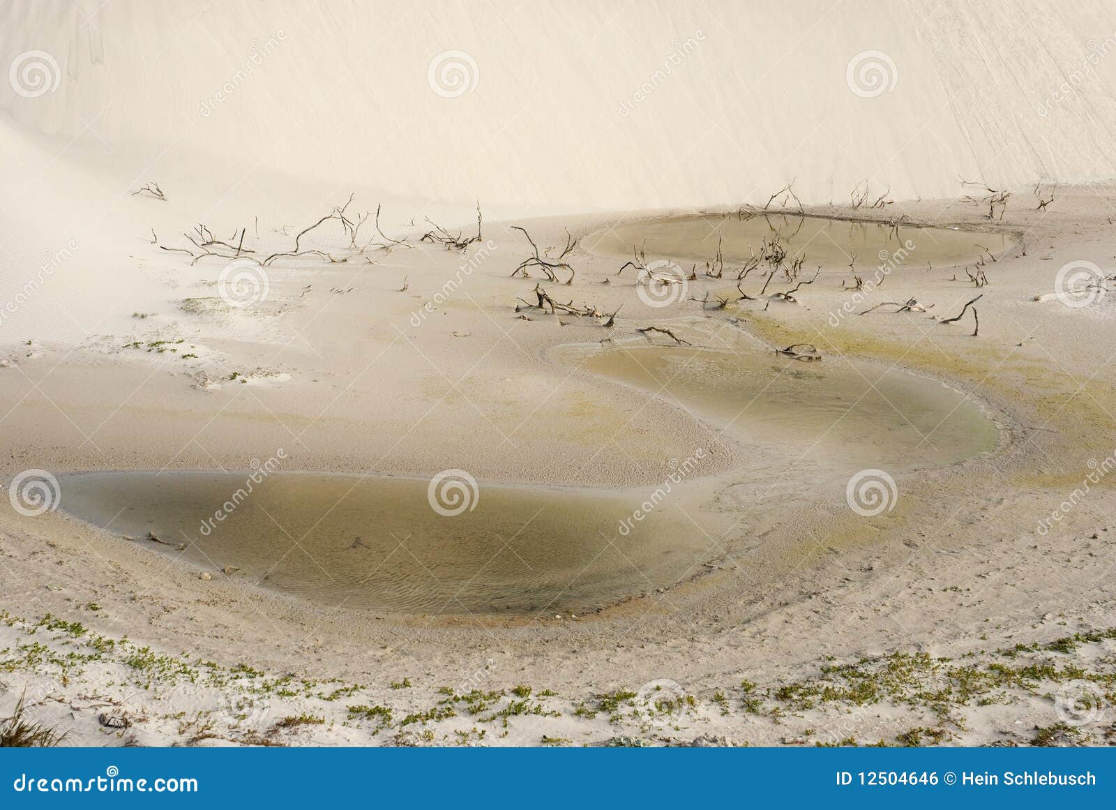 Almost dry pond in desert stock photo. Image of sand - 12504646