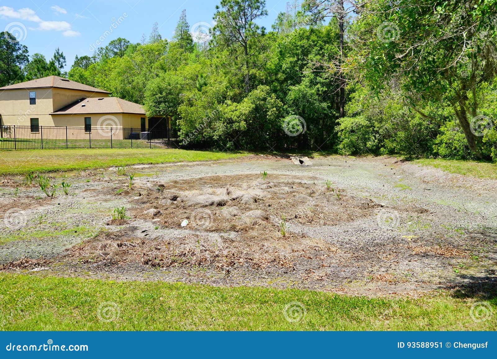 Dry pond in Florida stock image. Image of drought, damage - 93588951