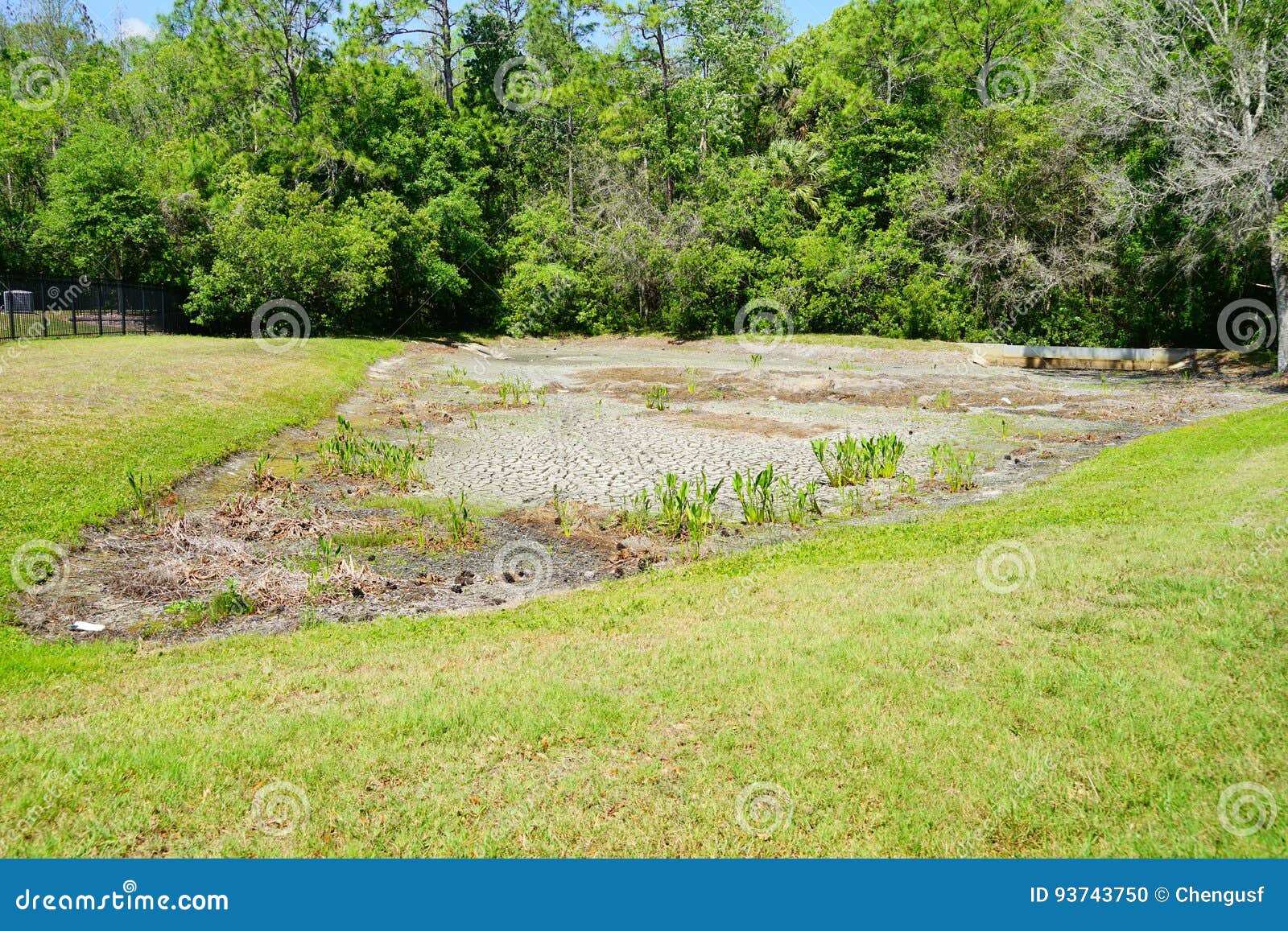 Dry pond stock photo. Image of cracking, climate, horizontal - 93743750