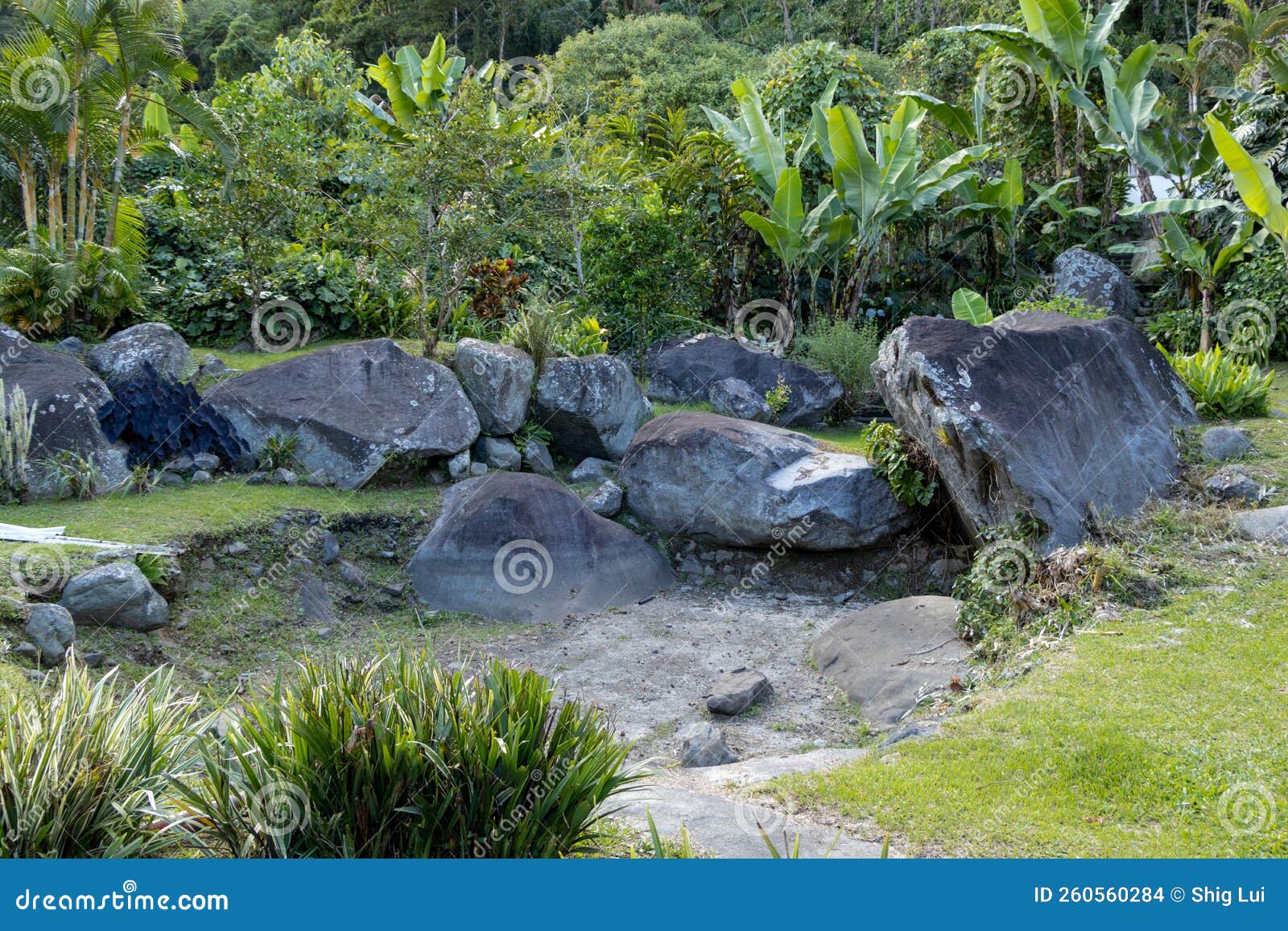 Dry Pool of Natural Rock Surrounded by Nature Stock Photo - Image of ...