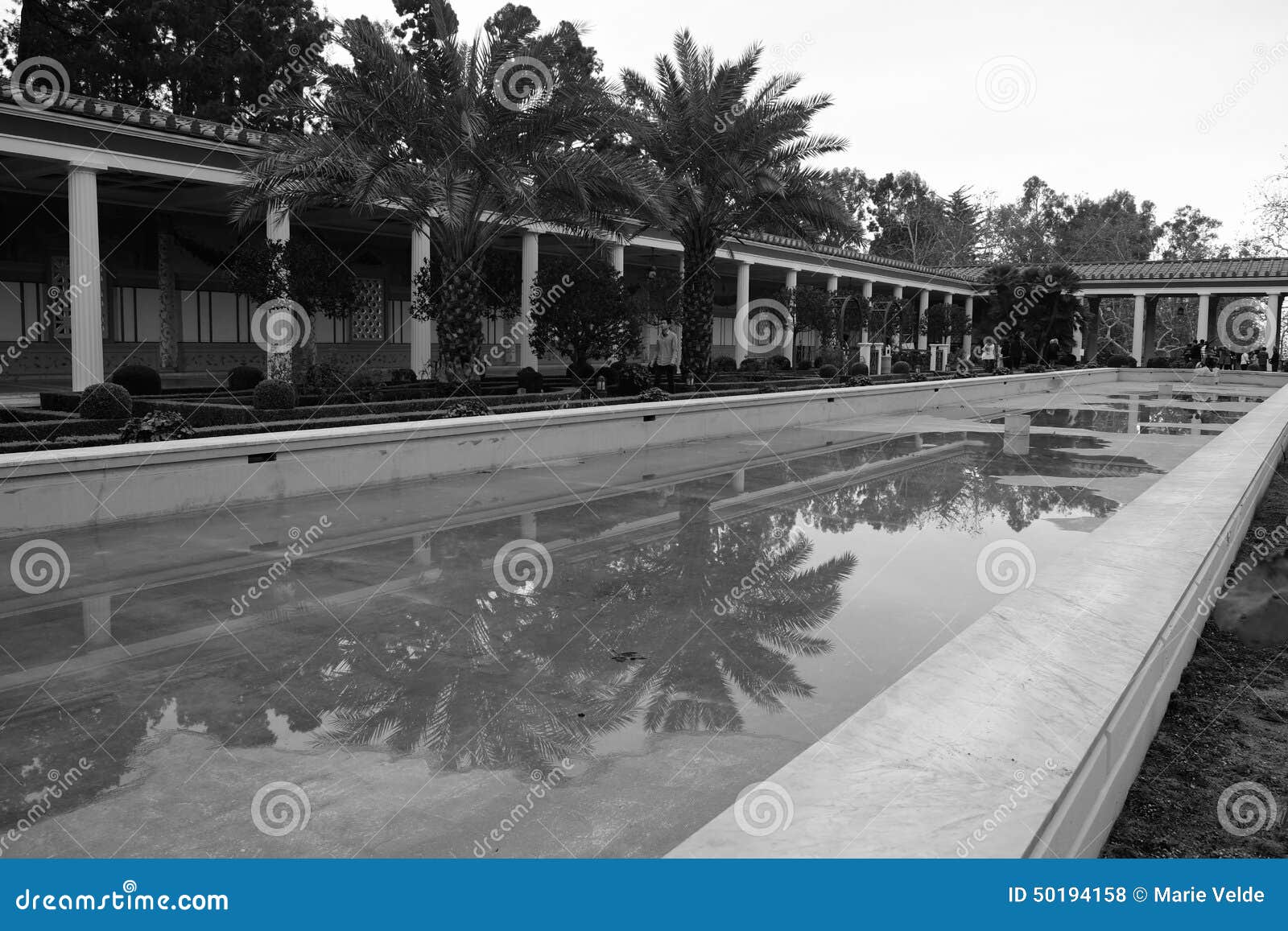 Dry Pool at the Villa editorial stock photo. Image of pool - 50194158