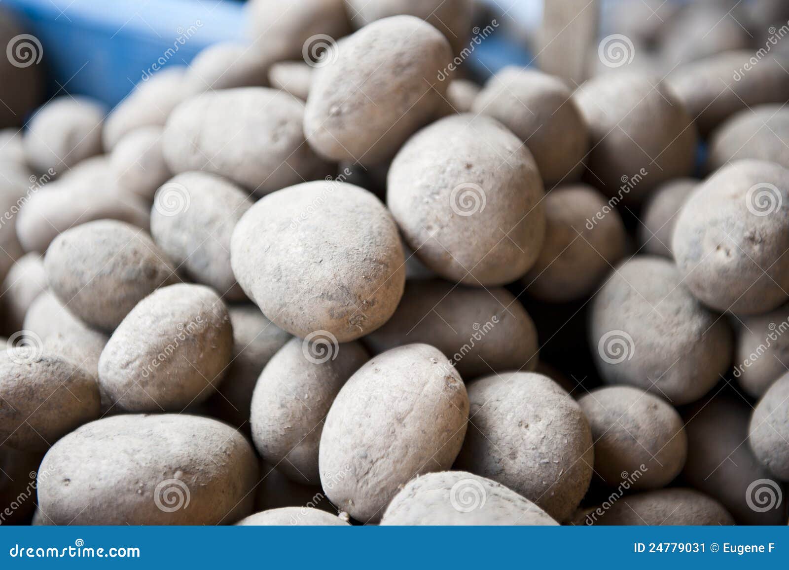 Dry Potatoes stock image. Image of tuber, food, healthy - 24779031