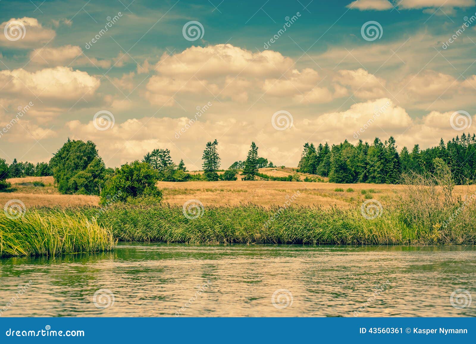 Dry prairie stock image. Image of color, background, land - 43560361