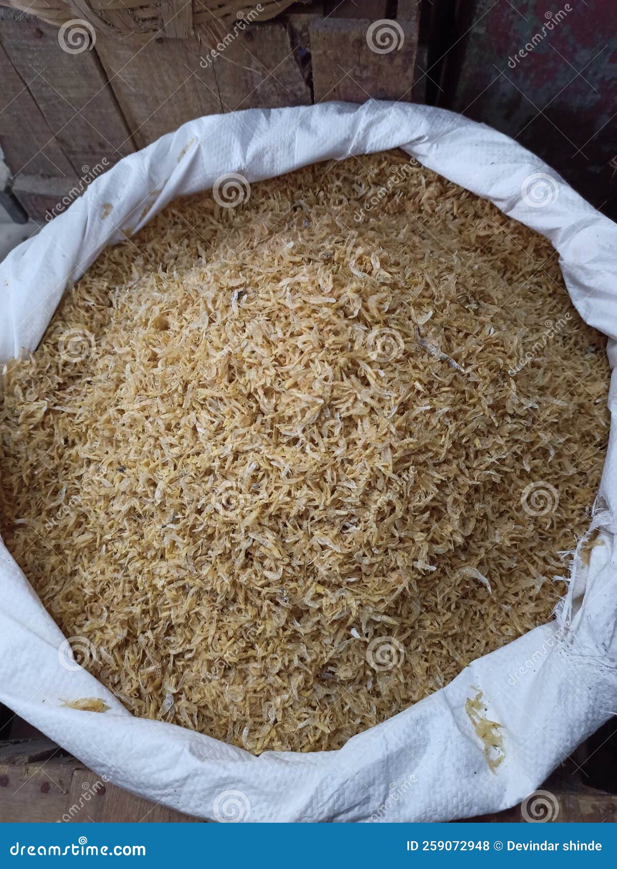 Dry prawn fish prawn 1 stock photo. Image of food, snack - 259072948