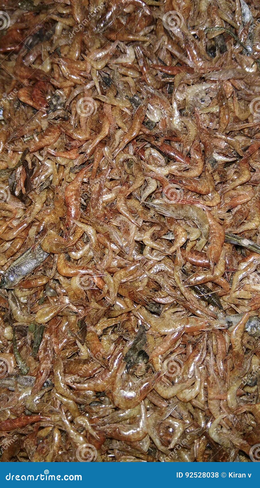 Dry Prawns stock photo. Image of water, river, prawns - 92528038