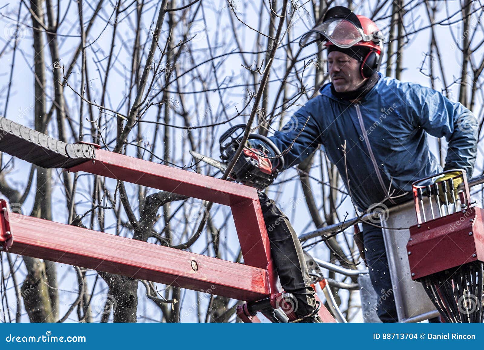 Dry Pruning of Trees by a Man with a Chainsaw, Standing on a Mechanical ...