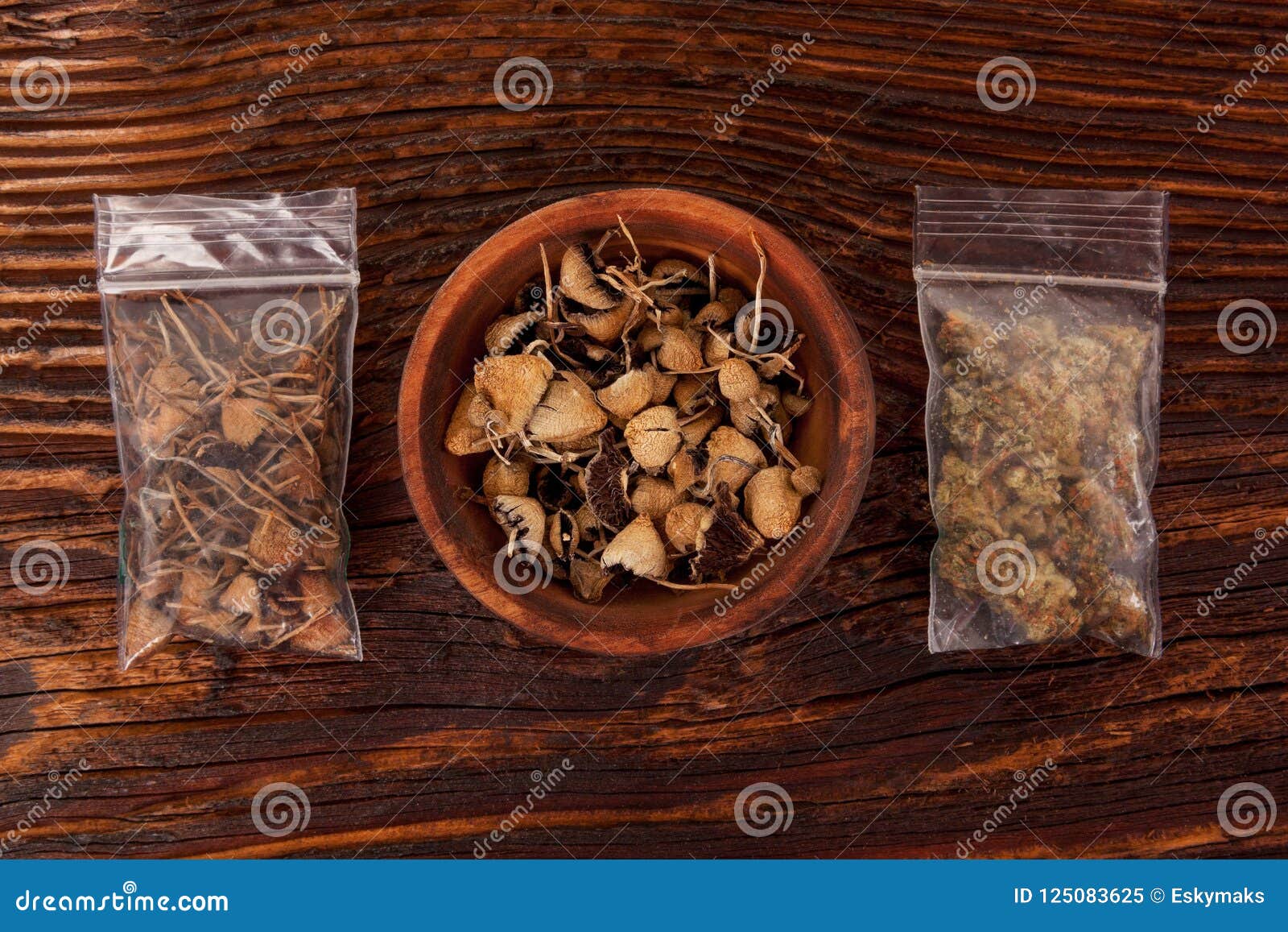 Dry Psilocybin Magic Mushrooms and Marijuana Buds in Plastic Bag Stock ... Dry Psilocybin Magic Mushrooms and Marijuana Buds in Plastic Bag Stock ...