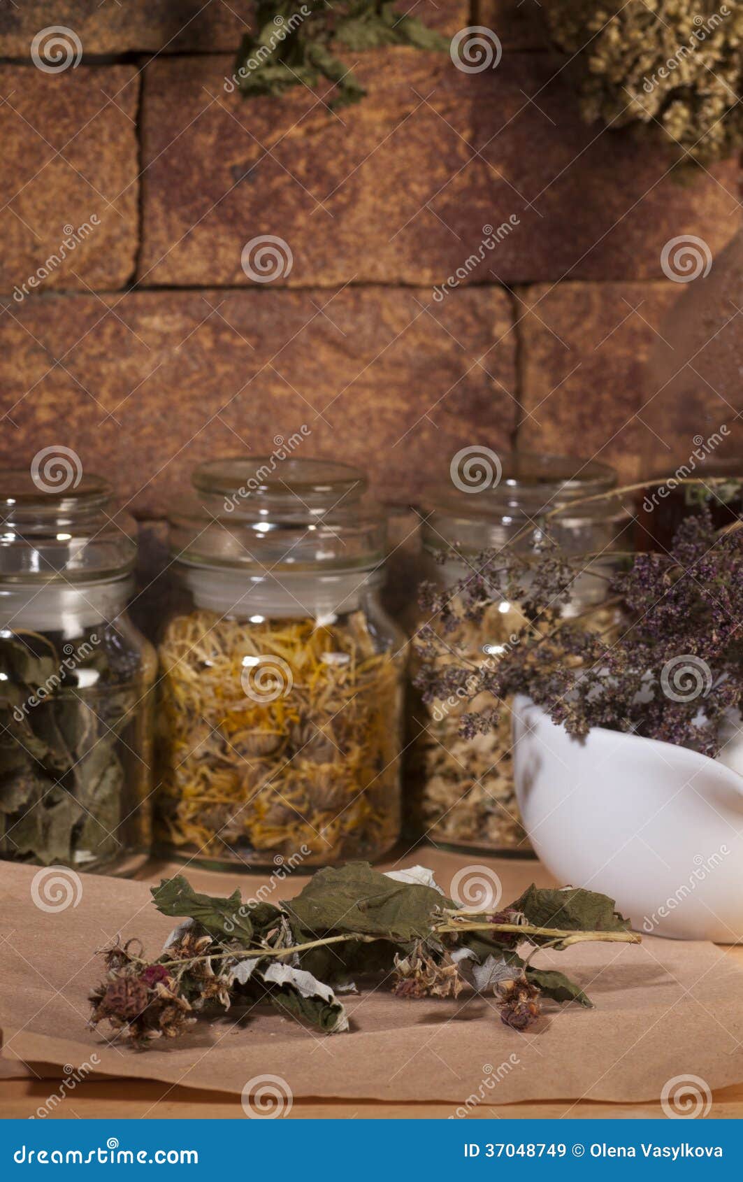 Dry raspberry leaves stock image. Image of raspberry - 37048749