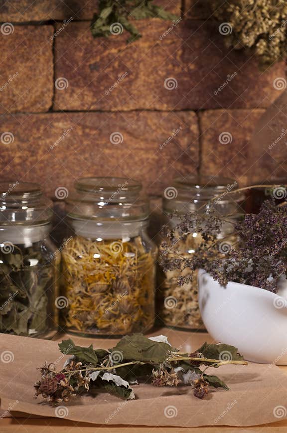 Dry raspberry leaves stock image. Image of raspberry - 37048749