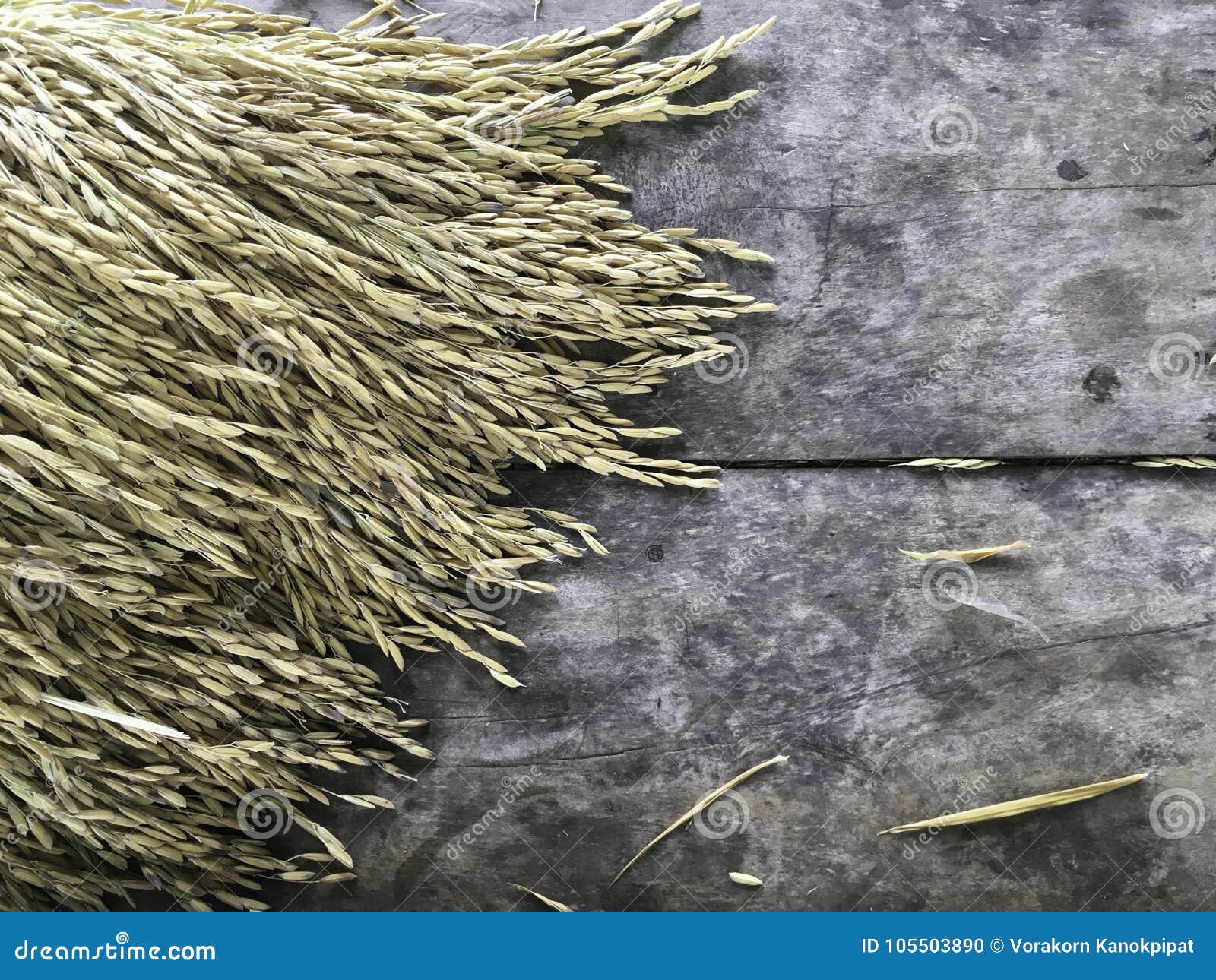 Dry Raw Rice Paddy on Left Side Old Wood Surface in Top View Stock ...