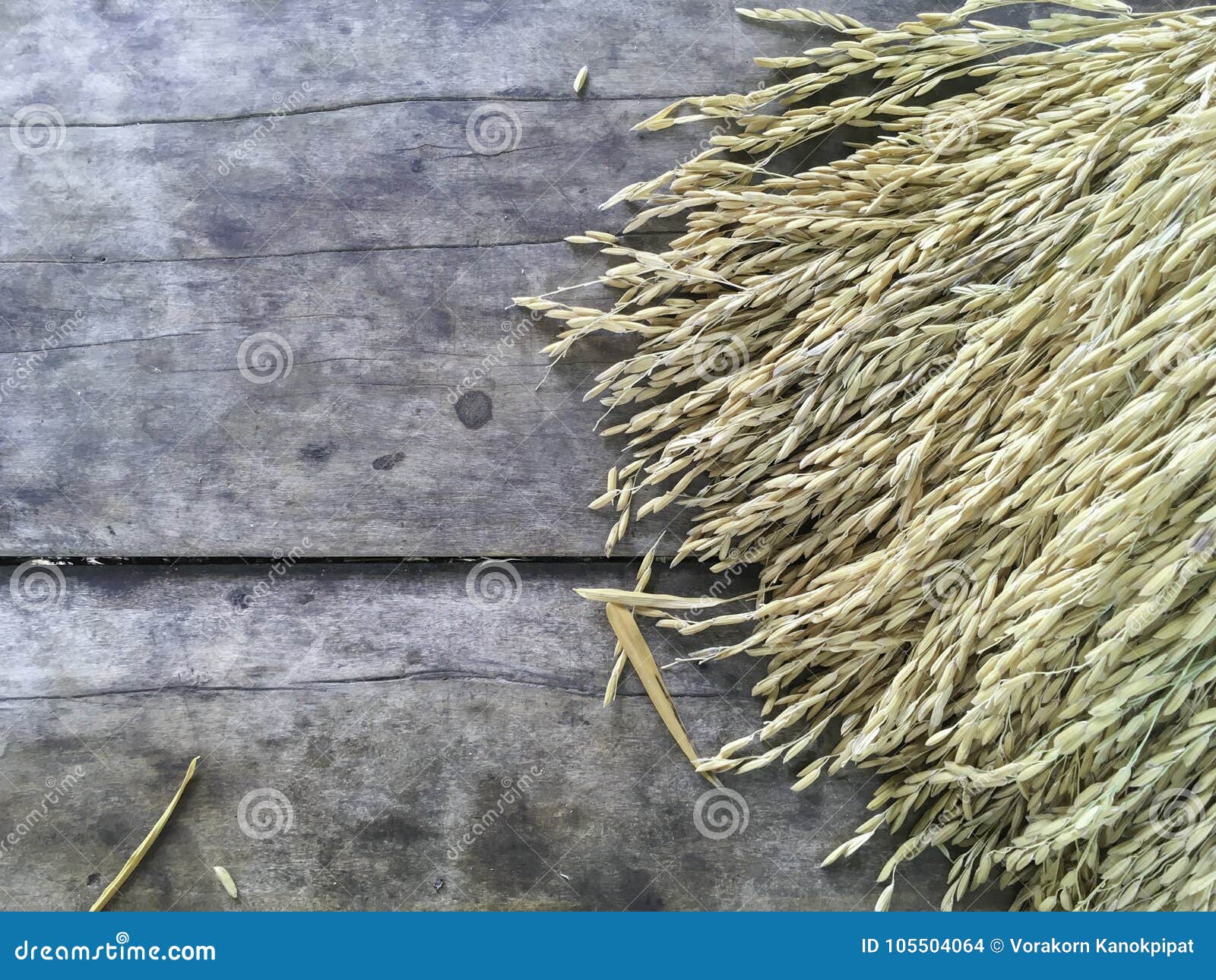 Dry Raw Rice Paddy on Right Side Old Wood Surface in Top View Stock ...