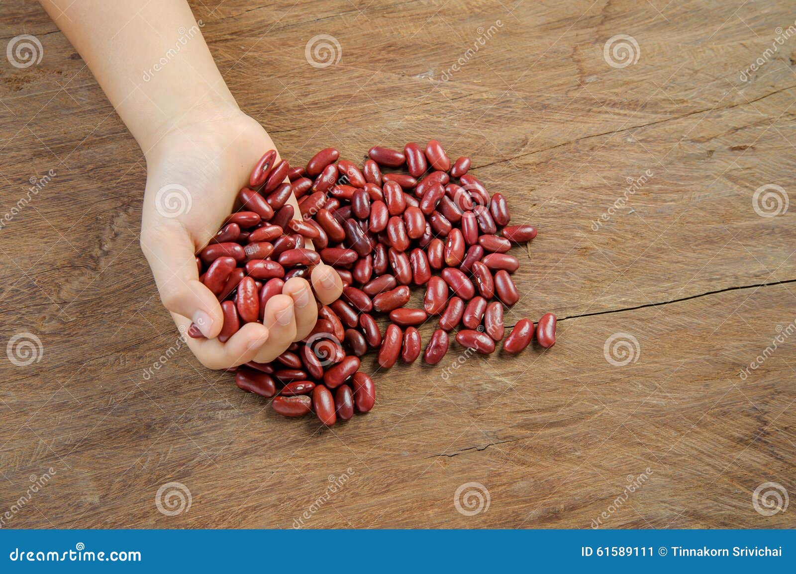 Dry red bean grain stock image. Image of organic, close - 61589111