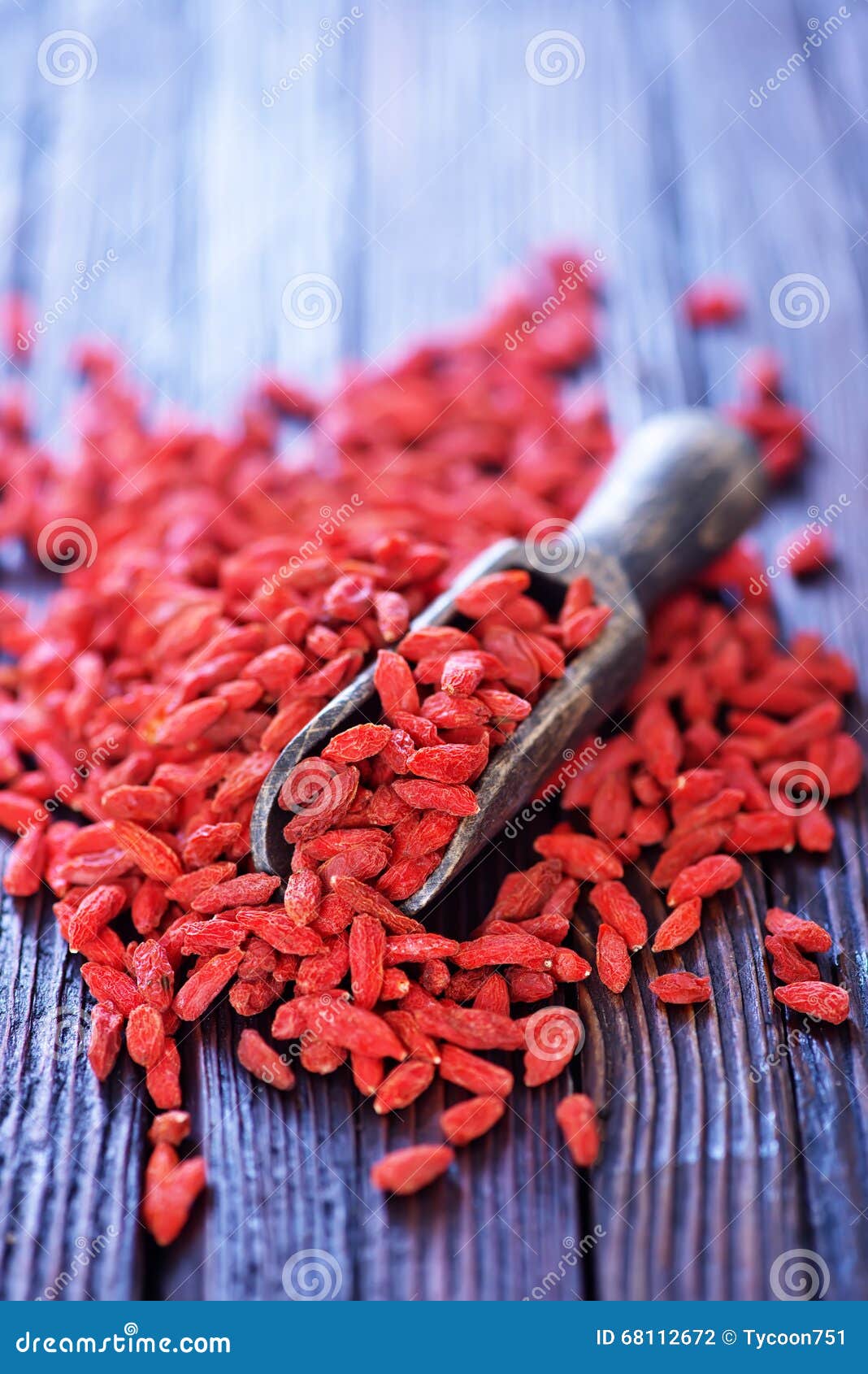 Dry red berries stock photo. Image of herbal, medicinal - 68112672