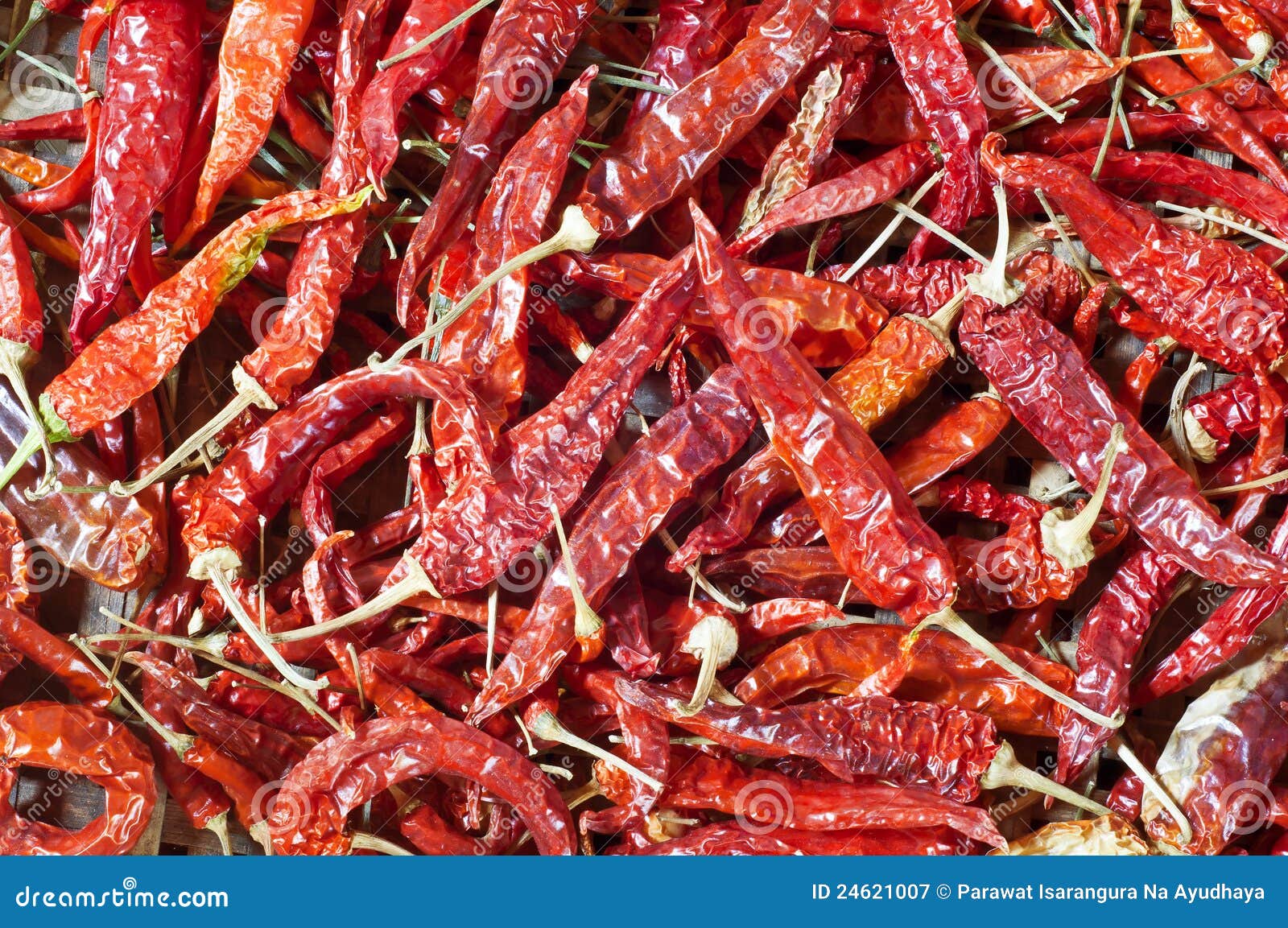 Dry red chilli. stock image. Image of asian, chili, agriculture - 24621007