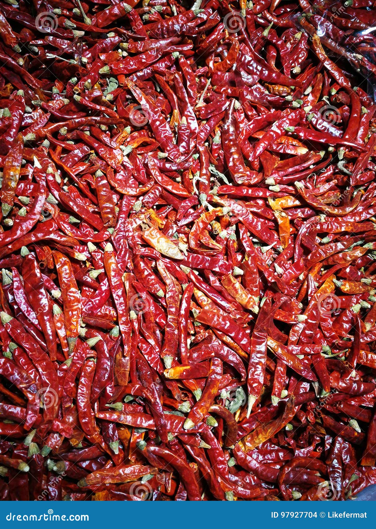 Dry red chilli stock photo. Image of spicy, pepper, chilli - 97927704