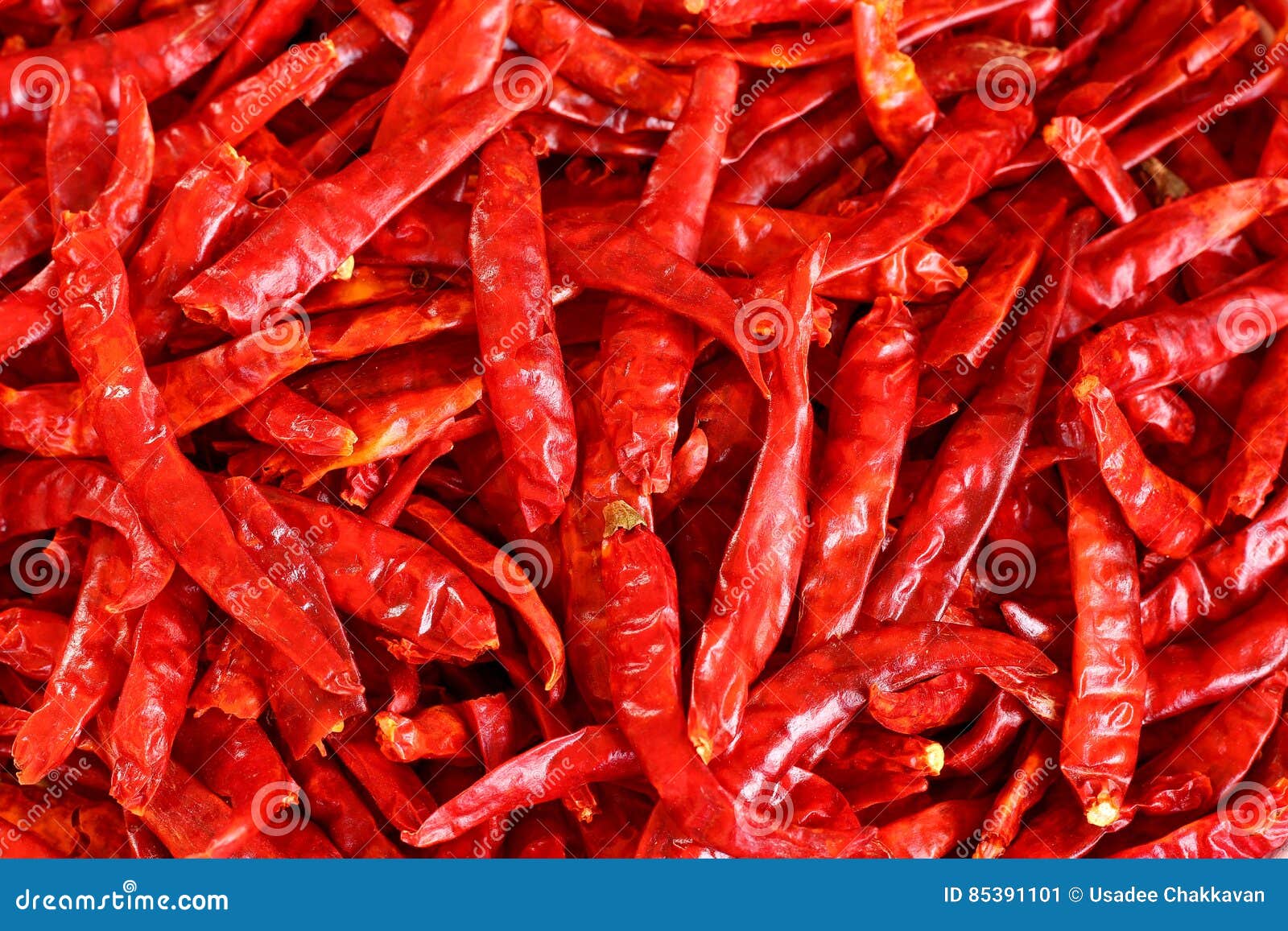 Dry red chilli stock image. Image of healthy, hearbs - 85391101