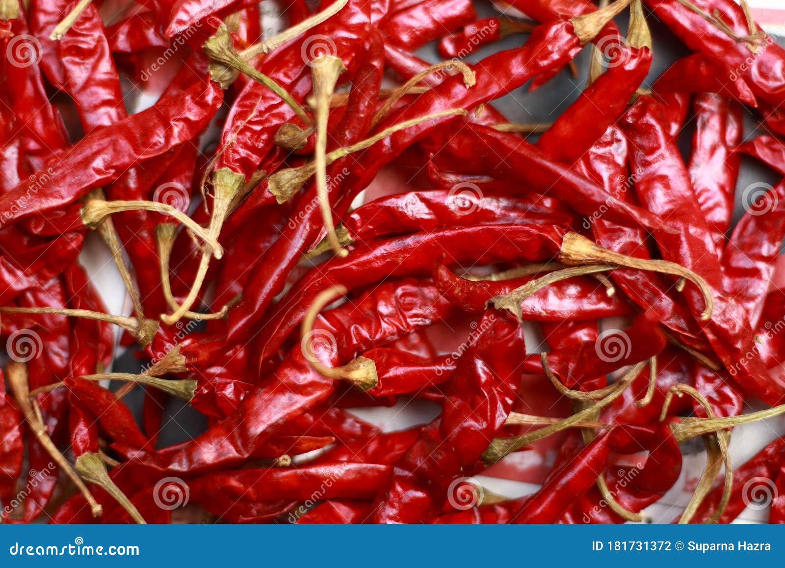 Dry red chilli stock photo. Image of epicure, paprika - 181731372