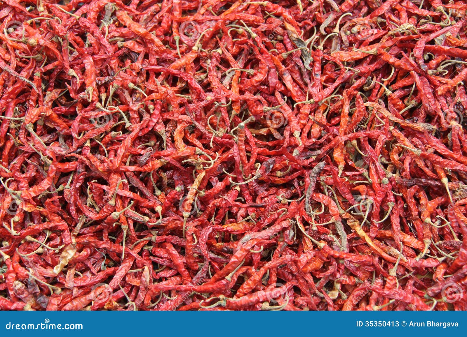 Dry red chilli stock image. Image of fiery, bright, agriculture - 35350413