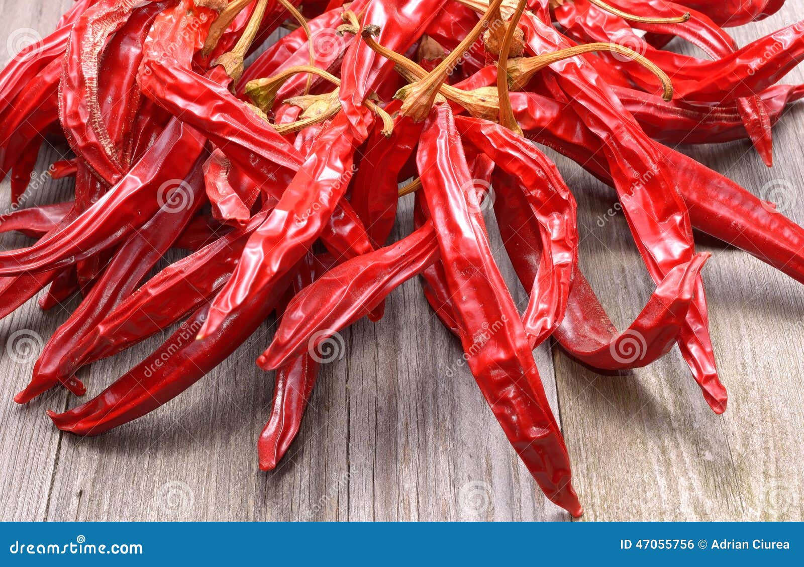 Dry red hot chilli peppers stock photo. Image of organic - 47055756