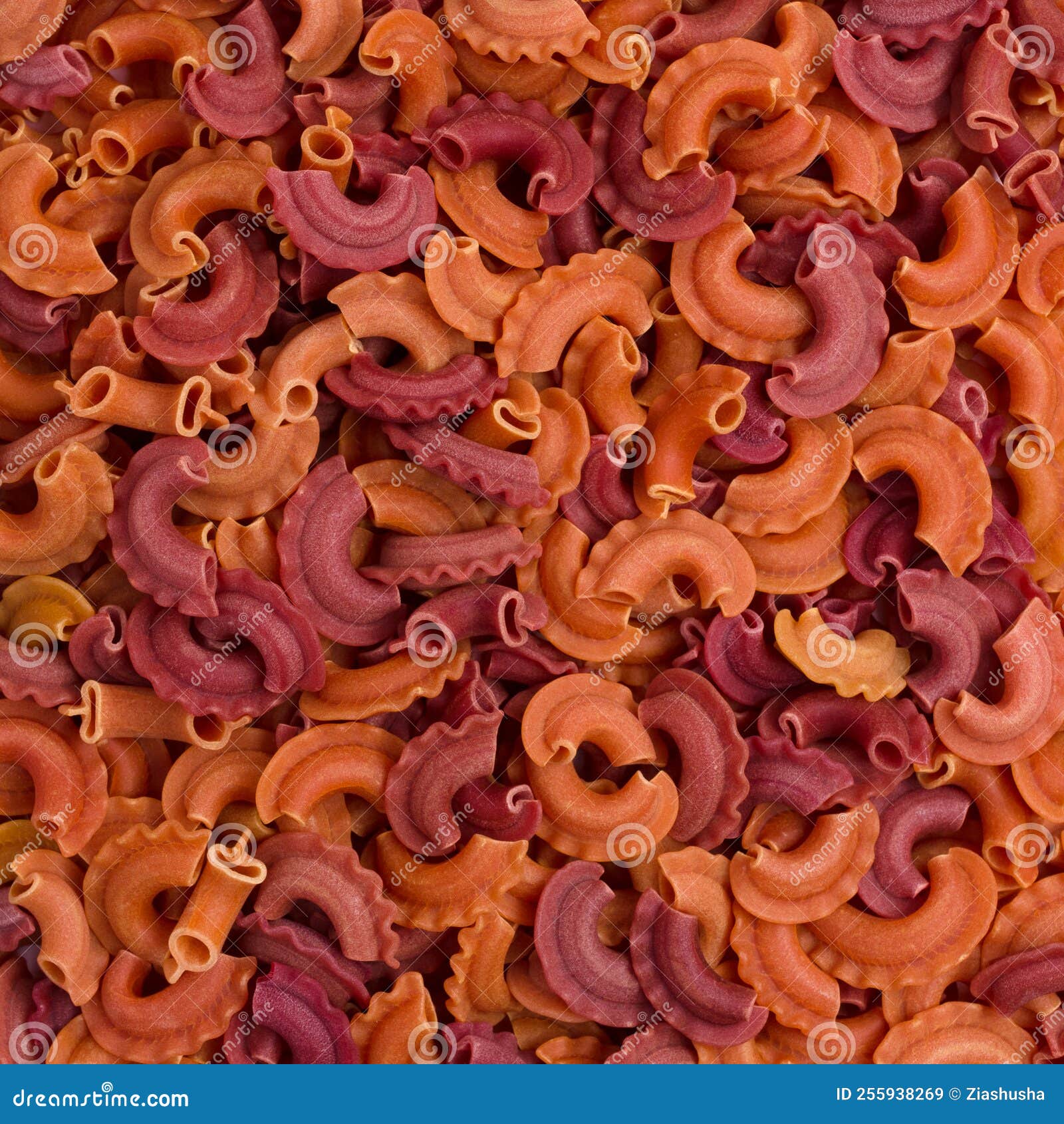 Dry red pasta stock image. Image of ingredient, sauce - 255938269