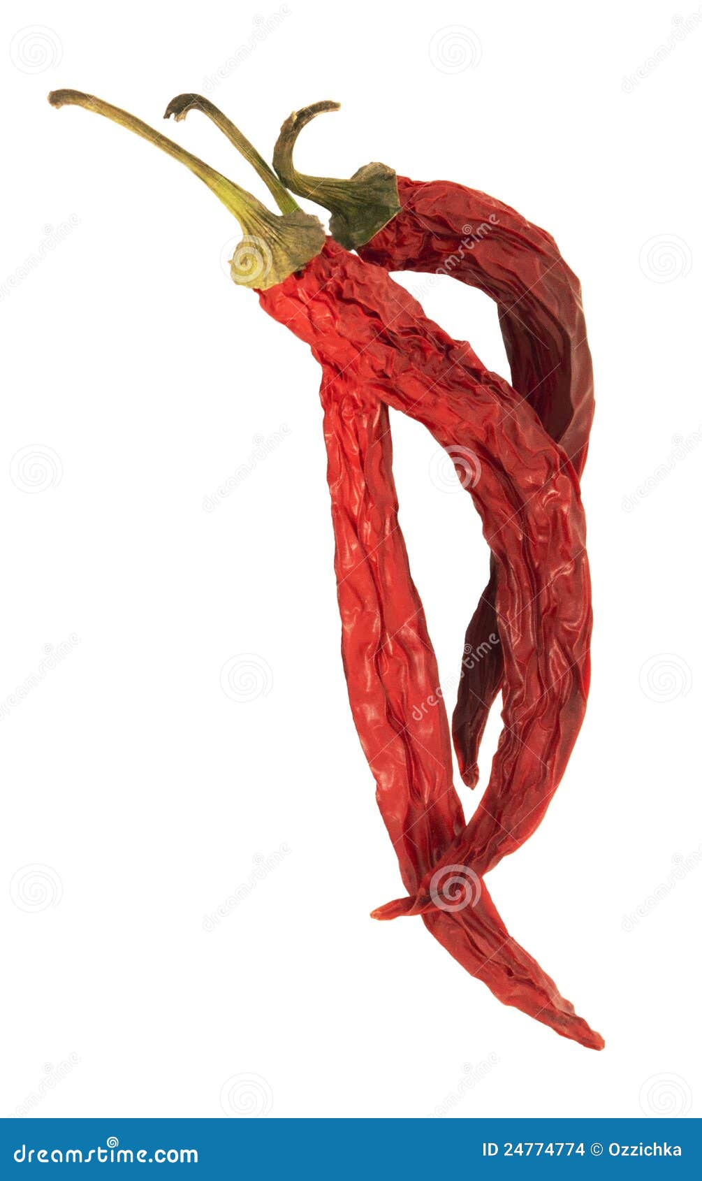 Dry red pepper stock photo. Image of cooking, spicy, pepper - 24774774