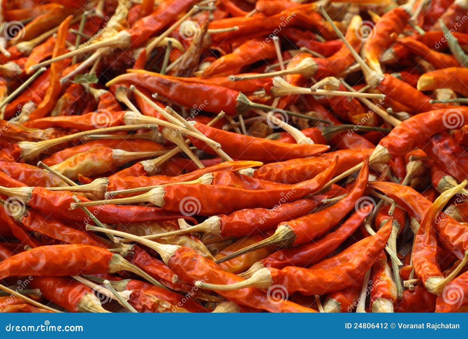 Dry red pepper stock photo. Image of pepper, detail, chili - 24806412