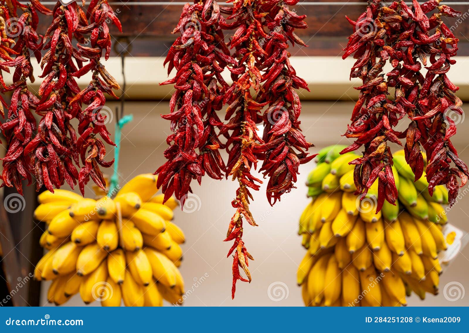 Dry red pepper on a string stock photo. Image of chili - 284251208