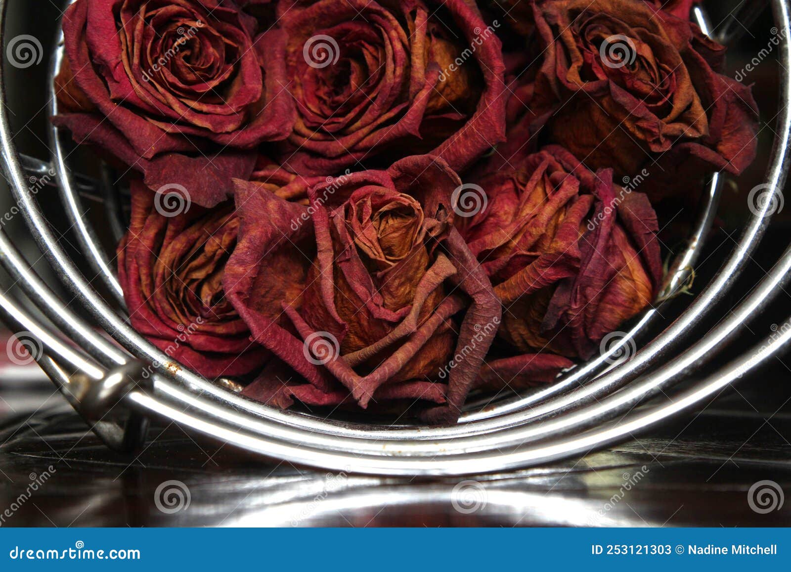 Dry Red Roses in a Container Stock Image - Image of floral, design ...