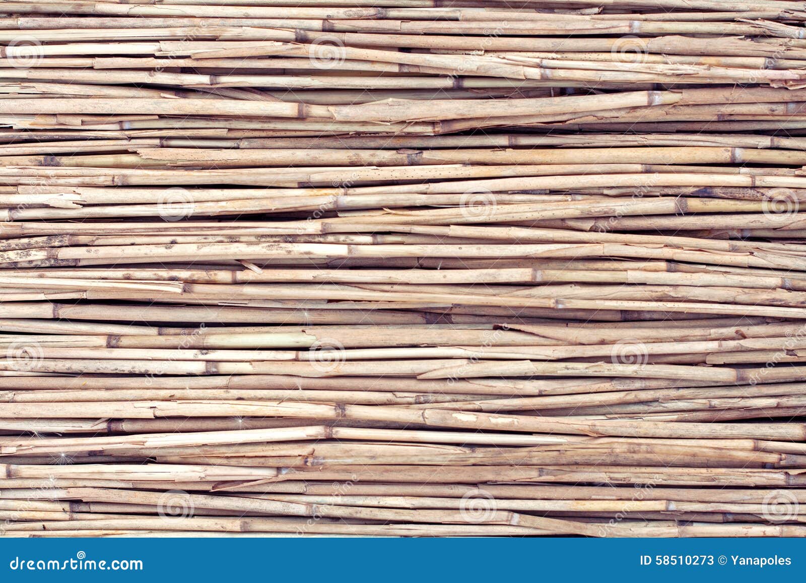Dry reed background stock image. Image of dried, architecture - 58510273