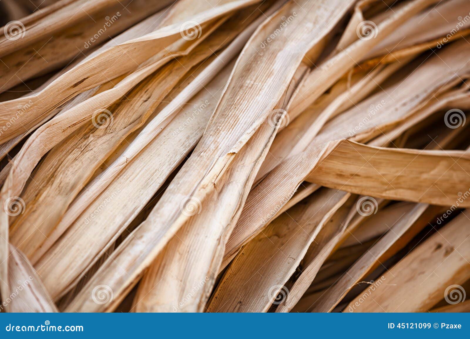 Dry Reed - the Material for the Production of Souvenirs. Stock Image ...