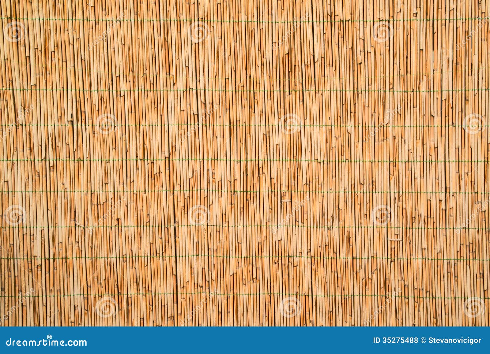 Dry reed straw background stock photo. Image of background - 35275488