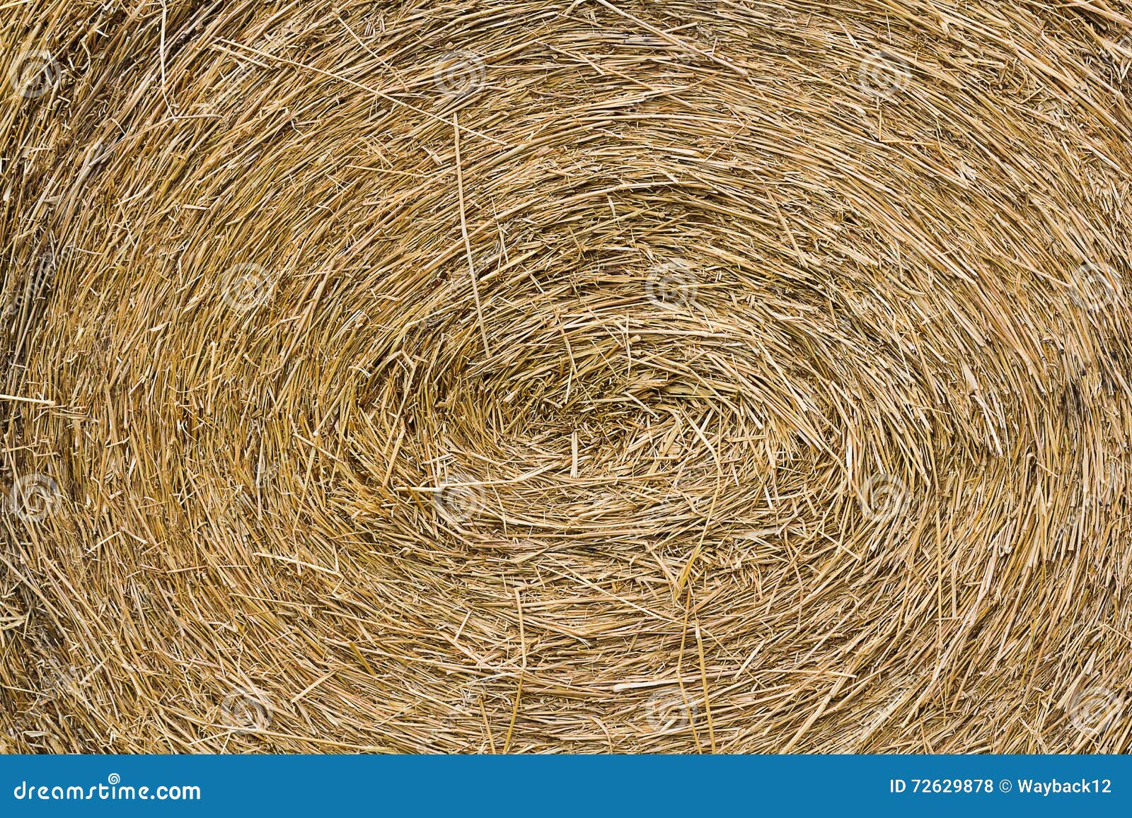 Dry Rice Straw Roll stock photo. Image of food, blue - 72629878