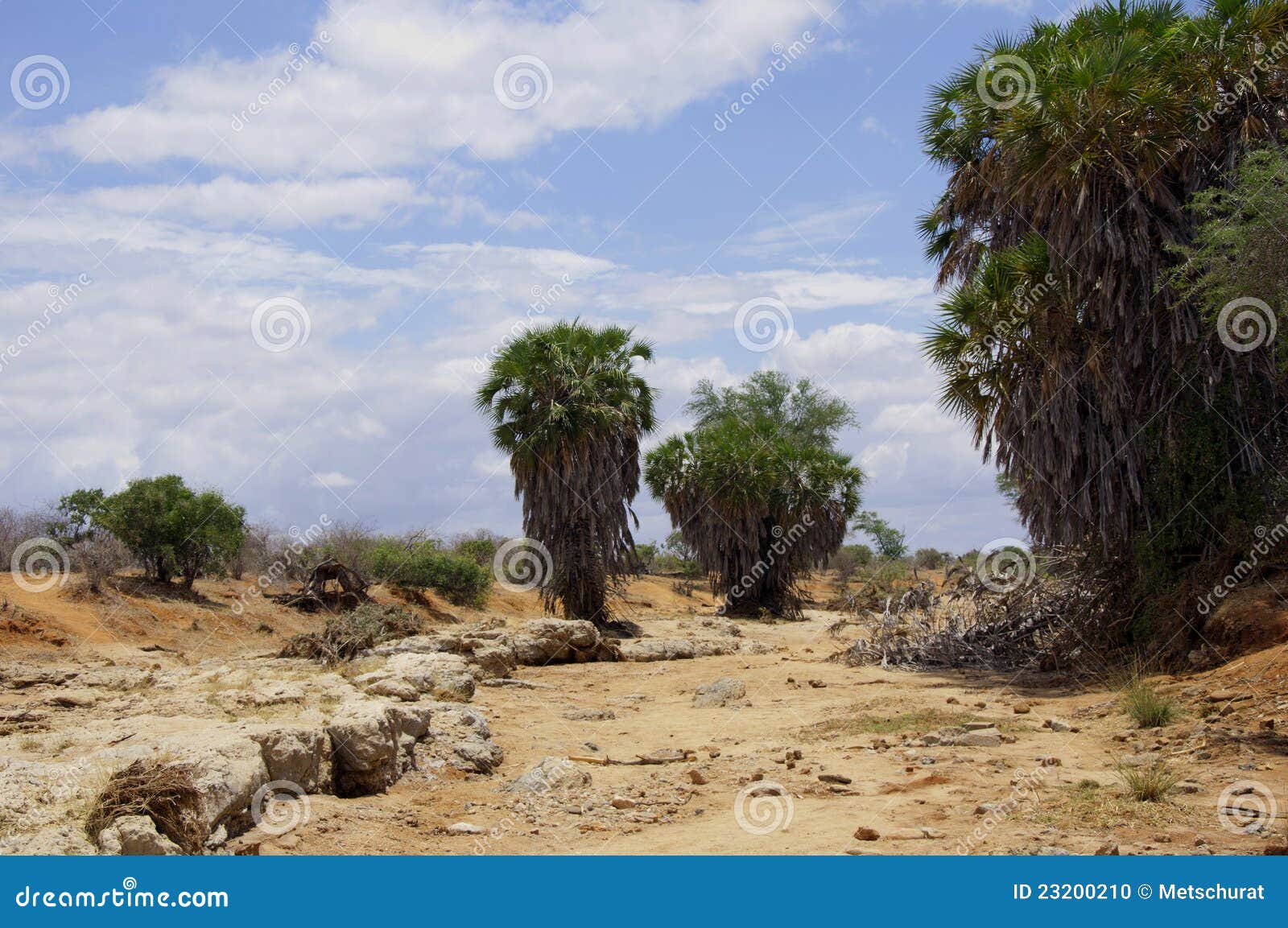 Dry River stock photo. Image of yellow, river, nature - 23200210