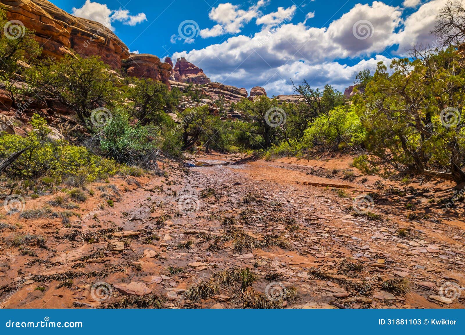 Dry river bank stock image. Image of formation, desert - 31881103