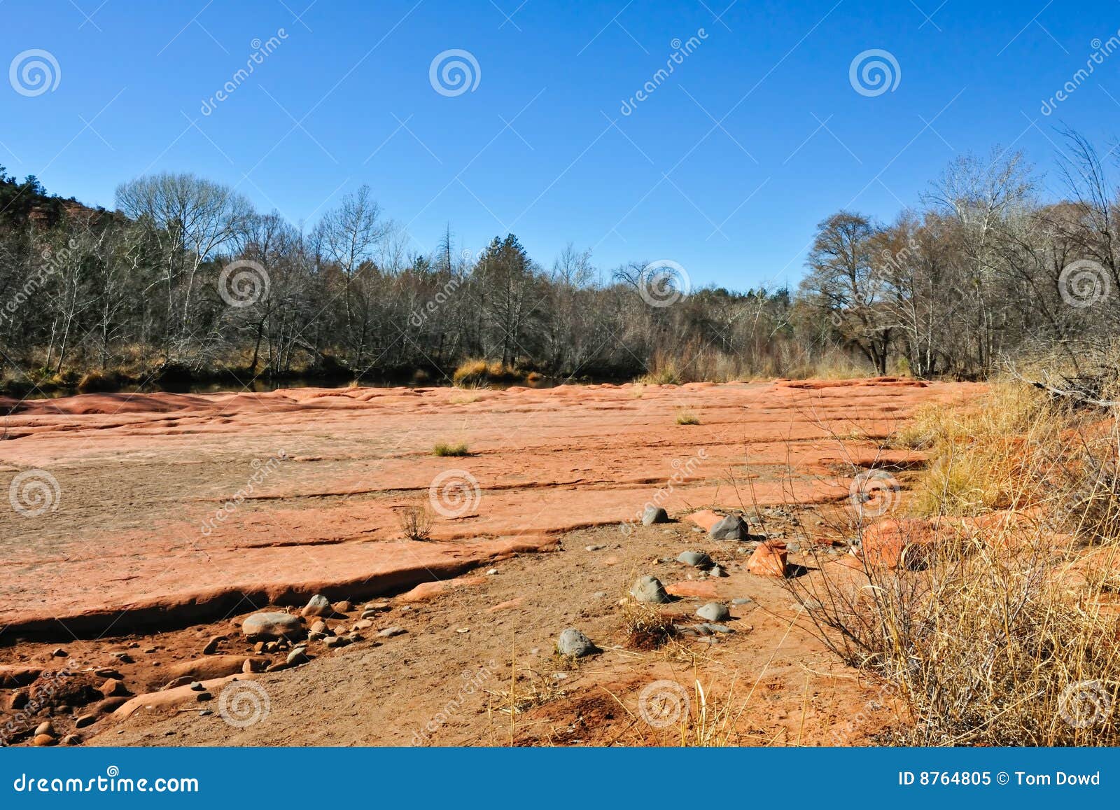 Dry River Bed stock image. Image of river, dried, serene - 8764805