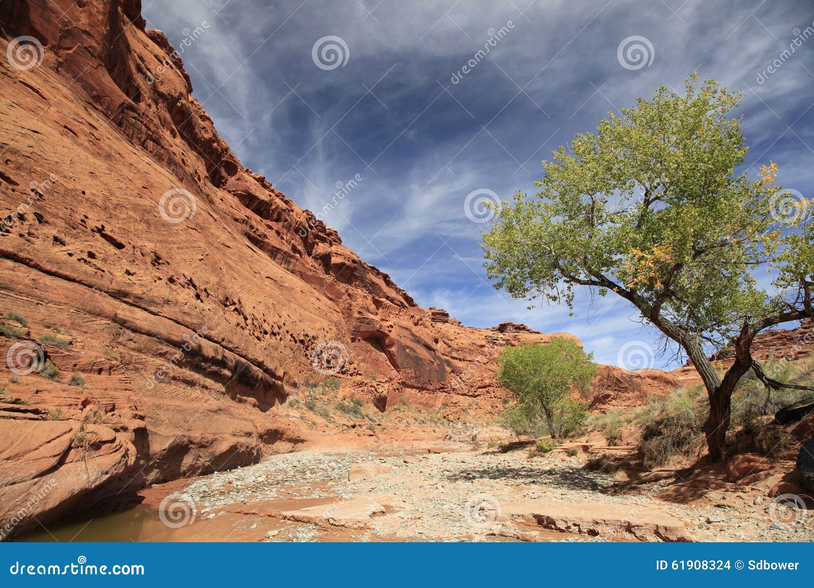 Dry River Bed in Red Rock Country, Utah Stock Photo - Image of tourism ...