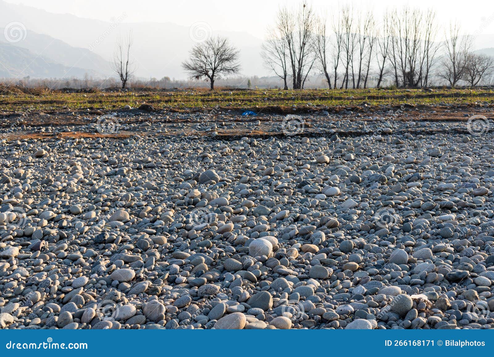 Dry River Bed with Stones in the Winter Stock Image - Image of ...