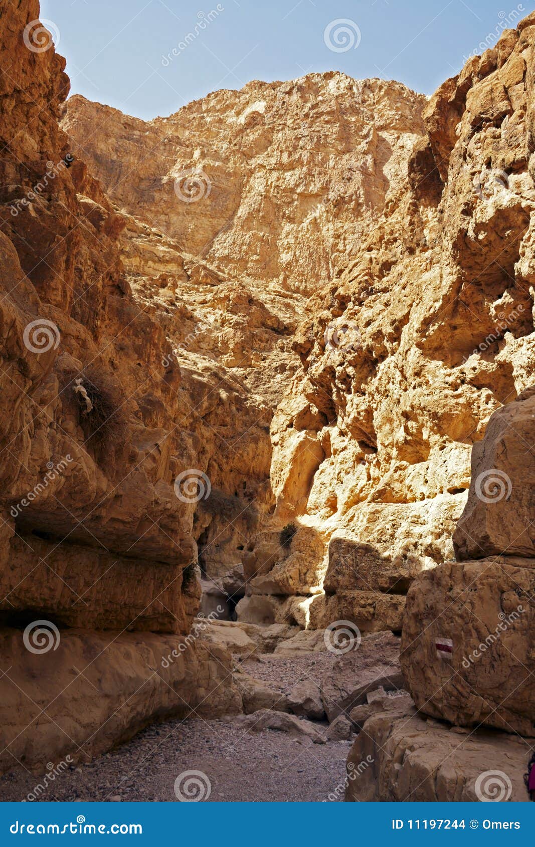 Dry river in the desert stock photo. Image of beauty - 11197244