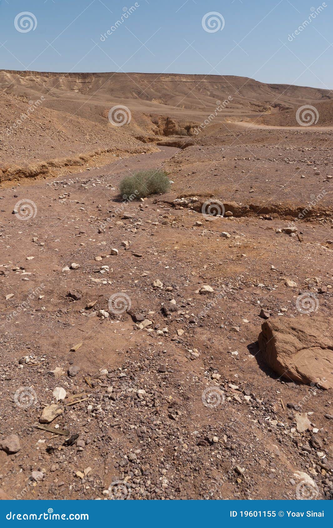 Dry River in the Desert Portrait Stock Image - Image of envaironment ...